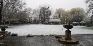 The first snow at Rectory Farm - Rectory Farm